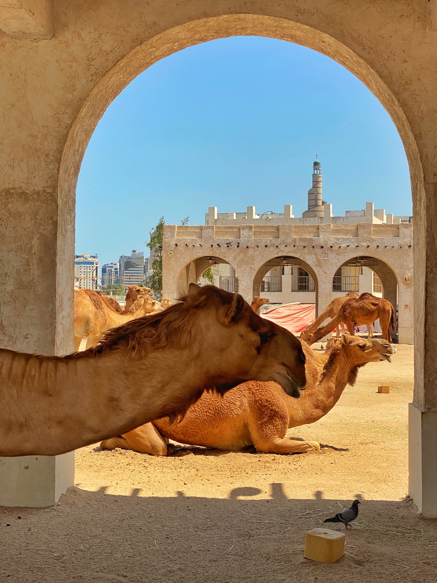 20 top things to see and do in Doha, Qatar - Roam with Rakhee