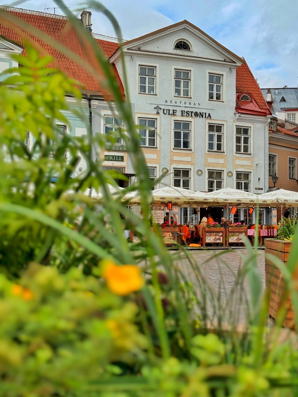 Top things to see and do in Tallinn, Estonia - Roam with Rakhee