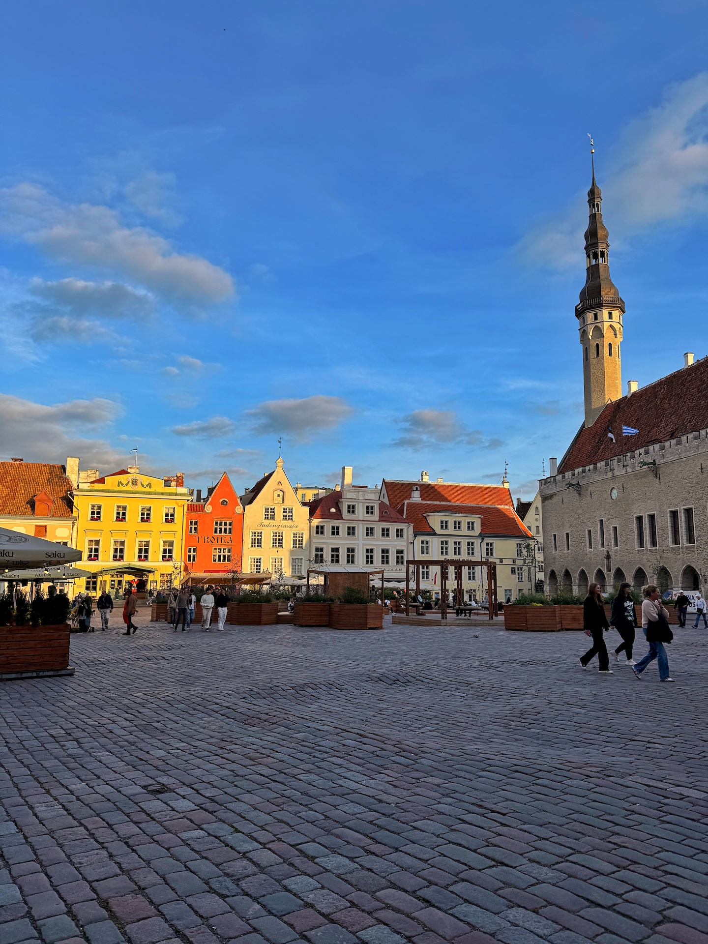 Top things to see and do in Tallinn, Estonia - Roam with Rakhee