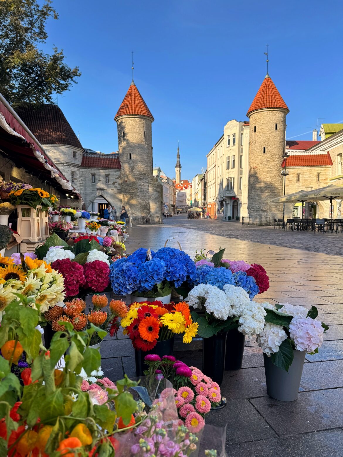 Top things to see and do in Tallinn, Estonia - Roam with Rakhee